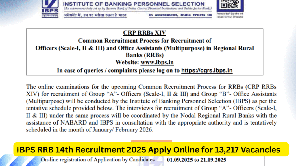 IBPS RRB 14th Recruitment 2025: Apply Online for 13,217 Vacancies @ ibps.in